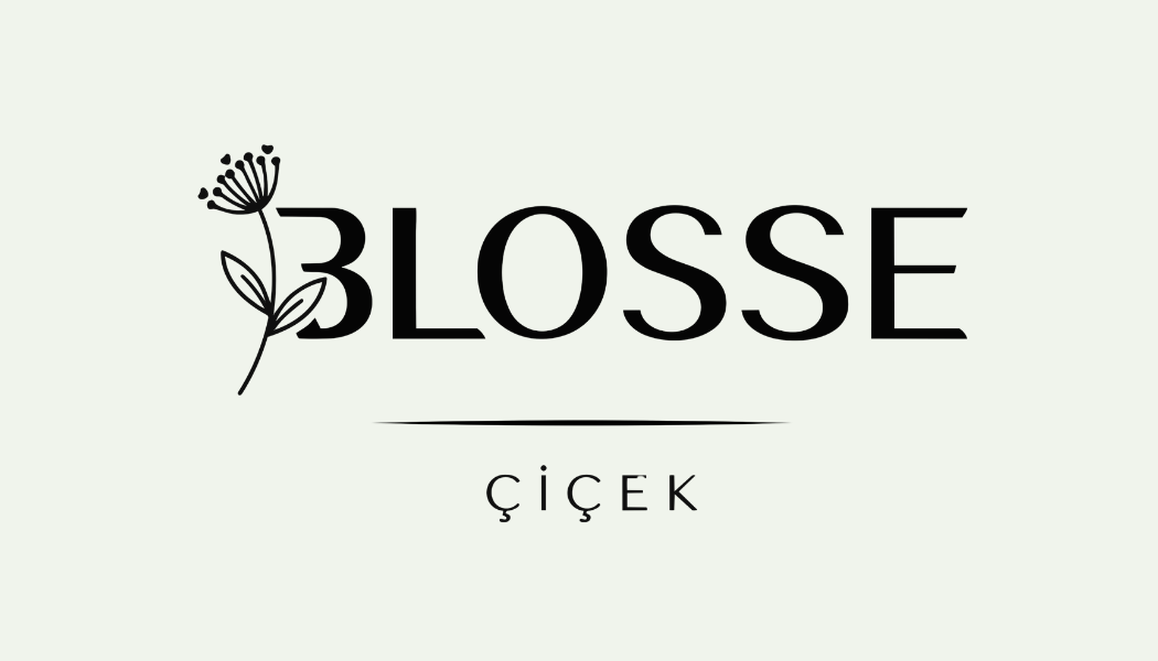 Blosse | Modern, Minimal ve Premium Bitki Butiği – Blosse Çiçek